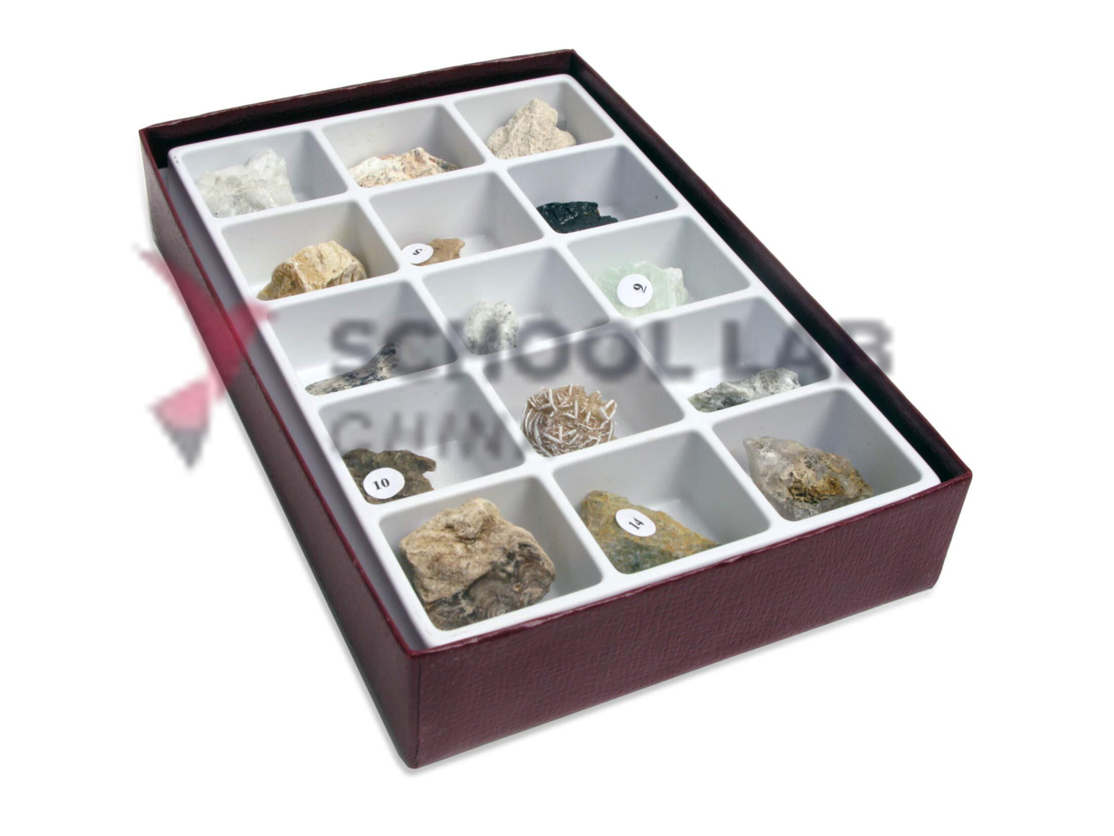 Fossil Set